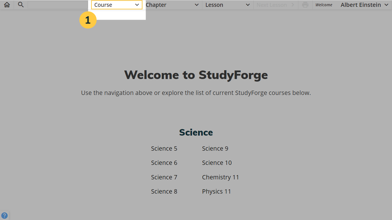 How do I log into StudyForge directly?